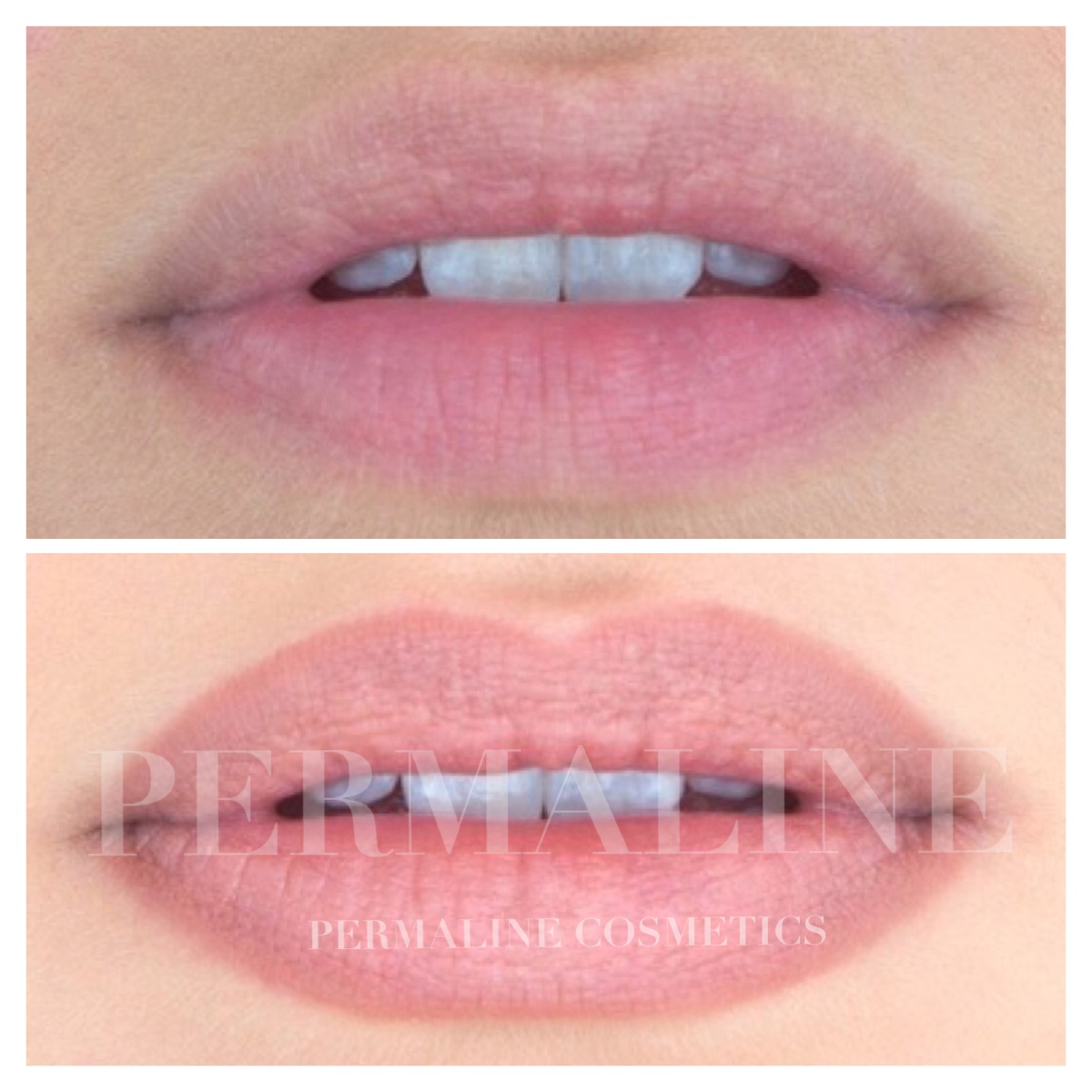 Permaline Cosmetics | Permanent Makeup Lips Permaline Cosmetics | Permanent Makeup Lips